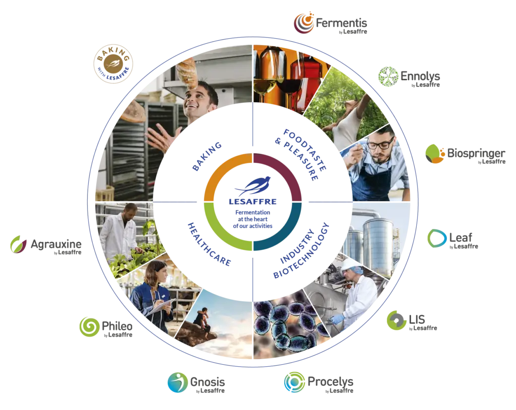 Our activities - Lesaffre, Global key player in fermentation